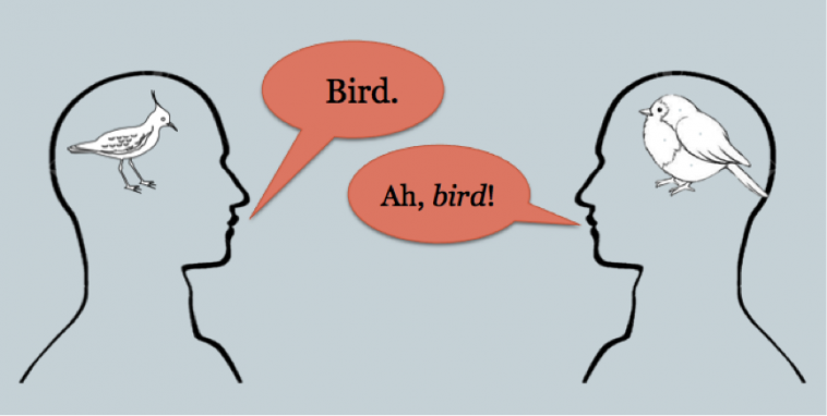 Culture Elaborate | Building Blocks of Human Experience (BBHE)